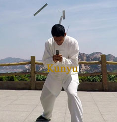 Kunyu Cultural Exchange Center in Japan-Kung Fu Training.